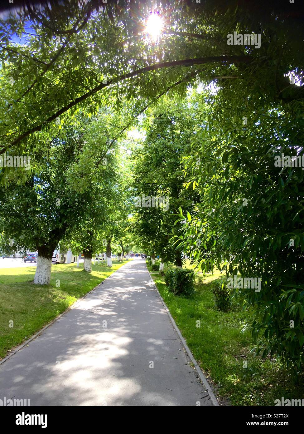 Each day color hi-res stock photography and images - Alamy