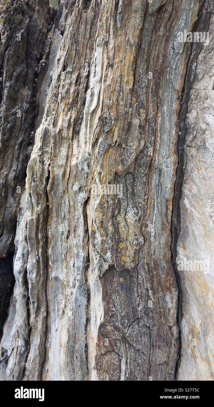 Portrait of Geographical stone layers formation in the coast of ...