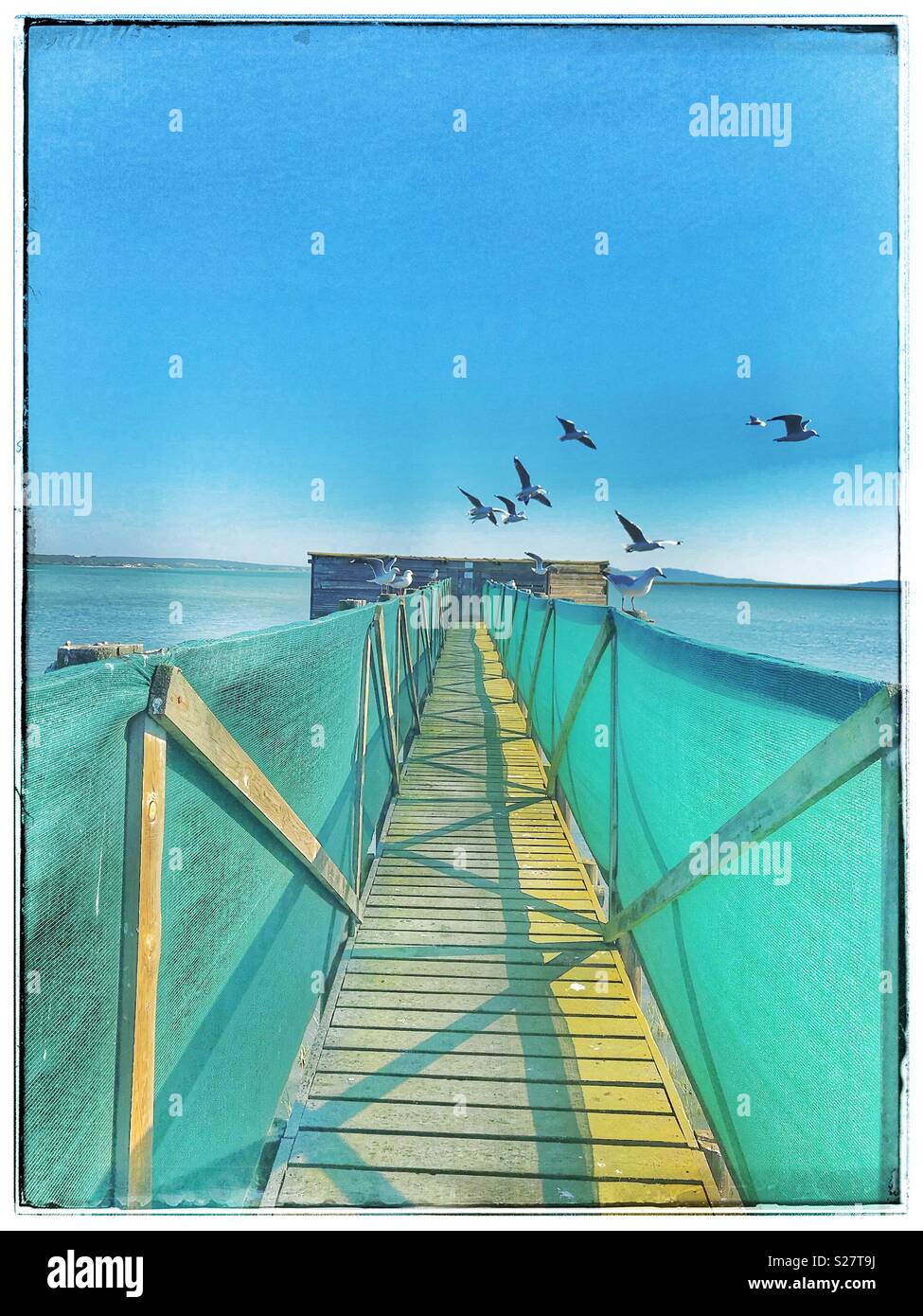 The Geelbek bird hide , West Coast National Park, South Africa Stock ...