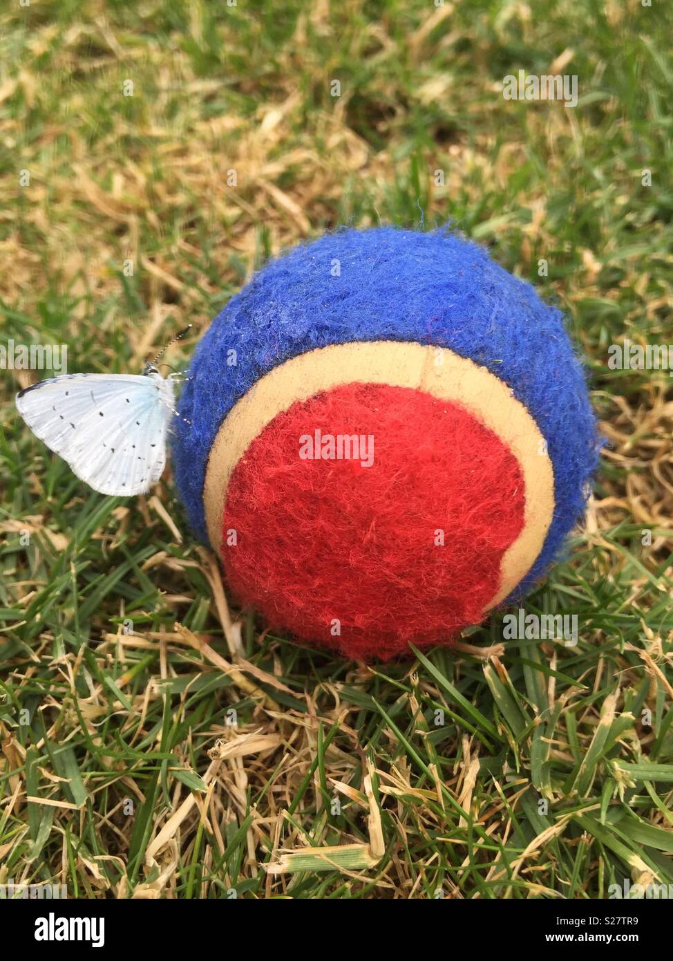 Butterfly ball hi-res stock photography and images - Alamy