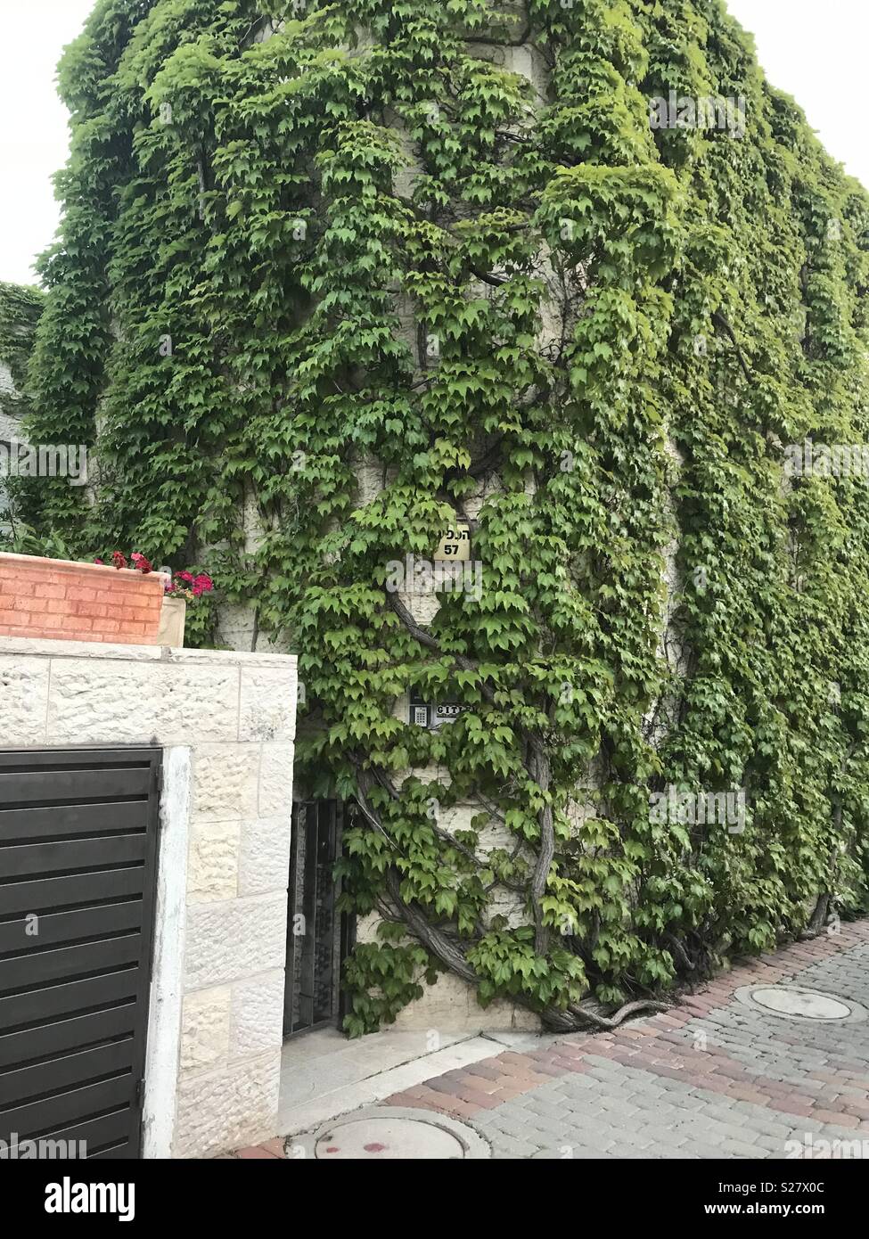 Envy hi-res stock photography and images - Alamy