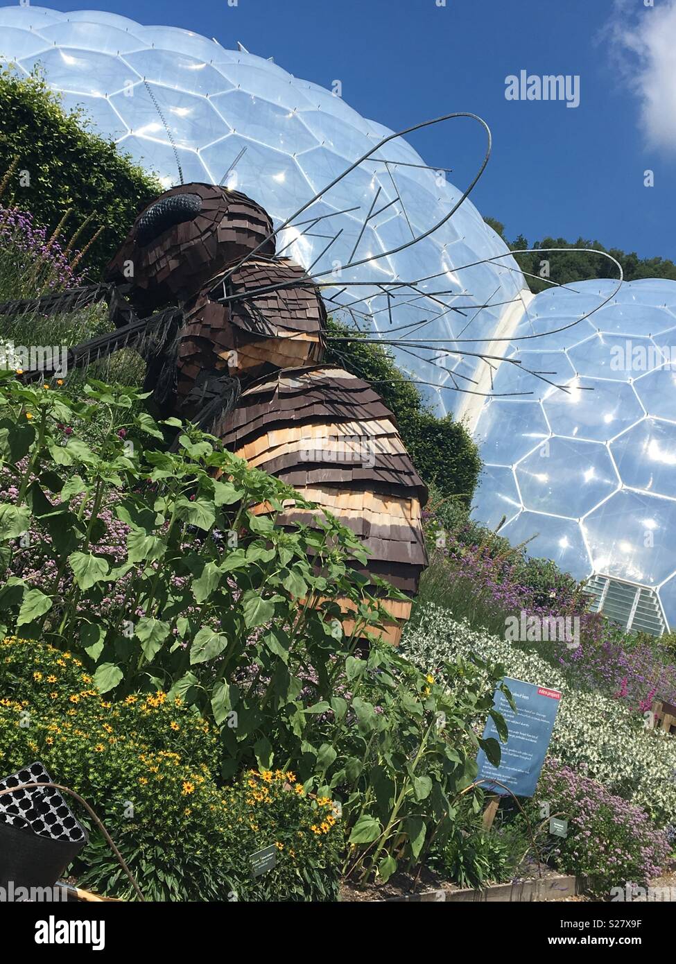 Bee structure hi-res stock photography and images - Alamy