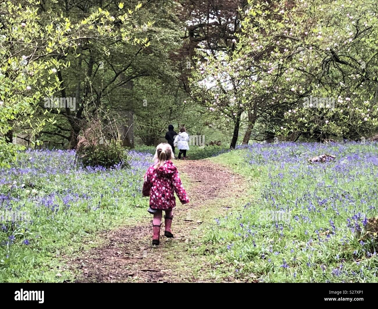 Spring walk countryside hi-res stock photography and images - Alamy