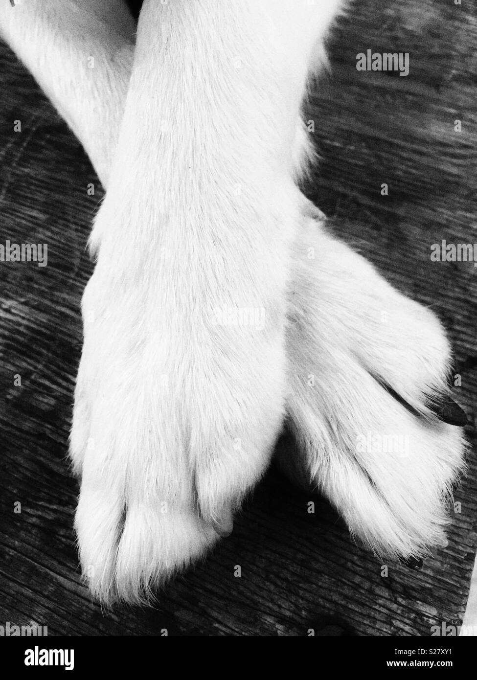 Crossed toes hi-res stock photography and images - Alamy