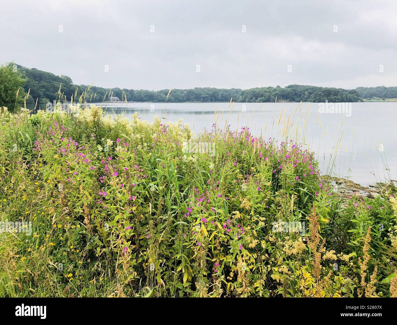 Lakeside flowers hi-res stock photography and images - Alamy