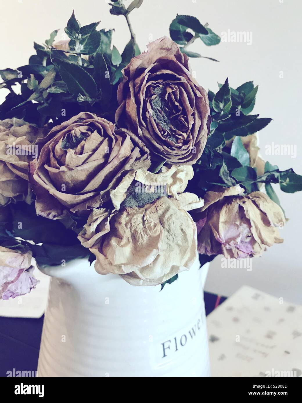 Withered flowers hi-res stock photography and images - Alamy