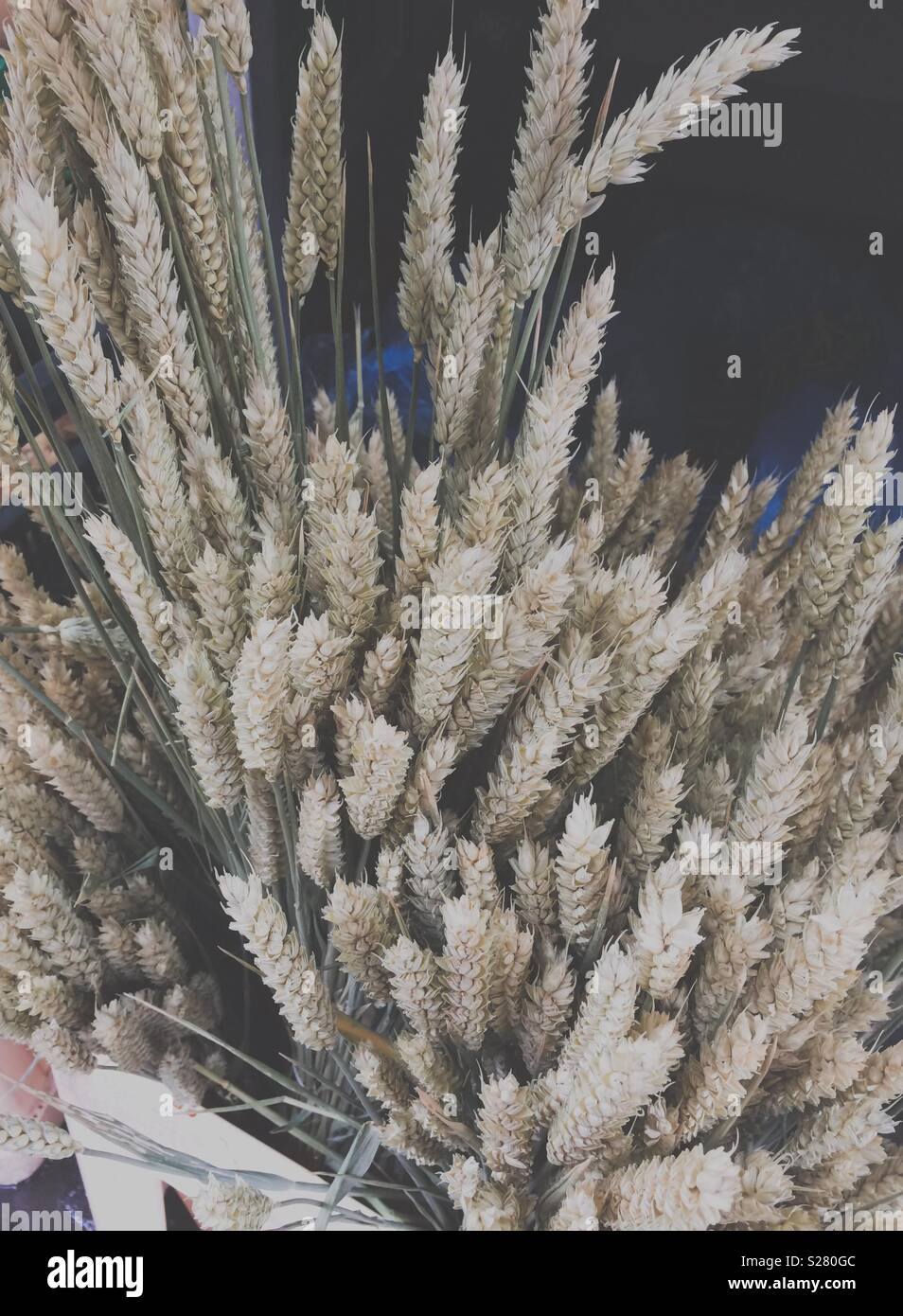 Dry herbs hi-res stock photography and images - Alamy