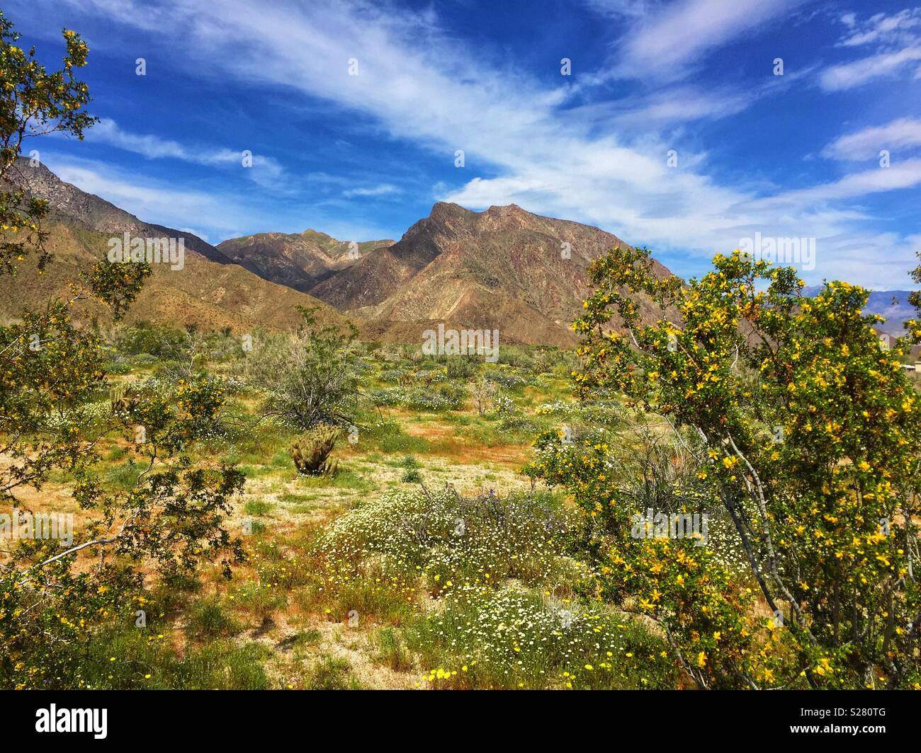 Anzo hi-res stock photography and images - Alamy