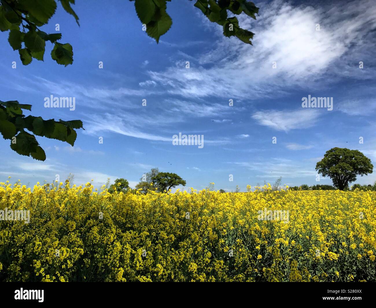 Chesham, Buckinghamshire countryside in the summer Stock Photo - Alamy