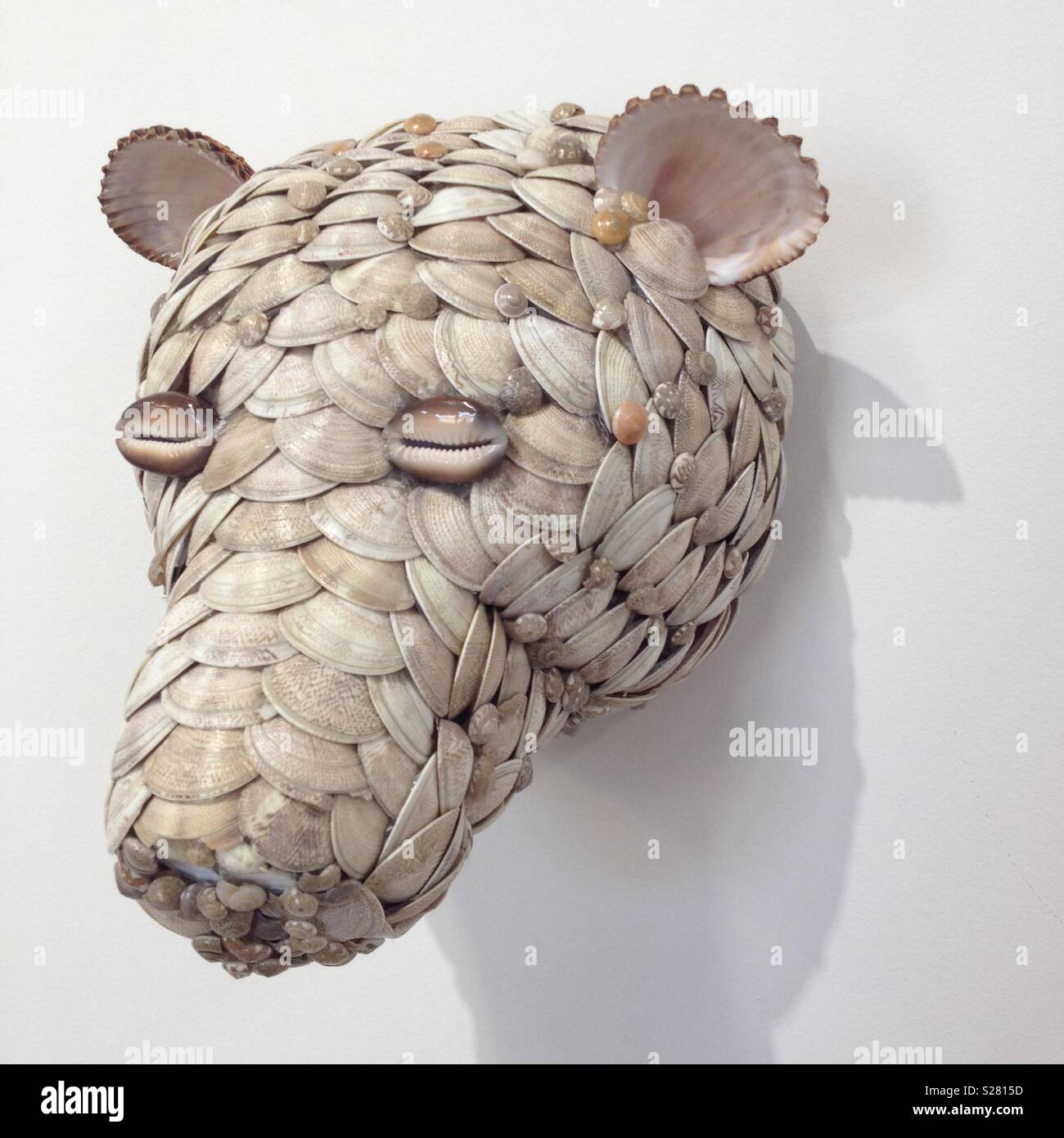 Made Of Shells High Resolution Stock Photography and Images - Alamy