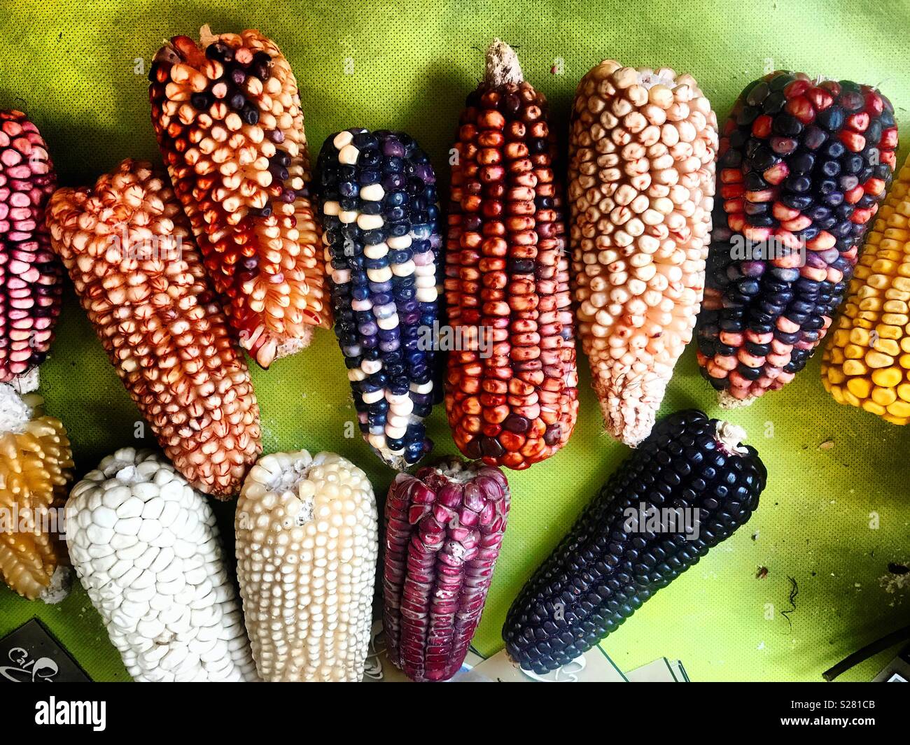 Native corn is displayed in a local market in Coyoacan, Mexico City ...