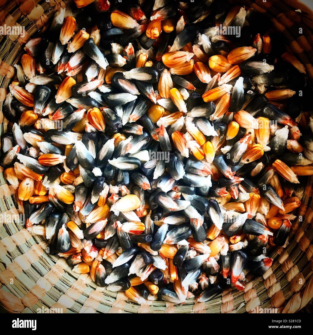 Native corn is displayed in a local market in Coyoacan, Mexico City ...