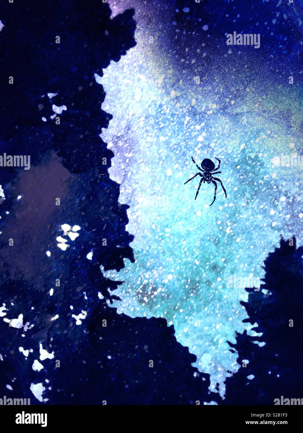Science fiction fantasy silhouette of spider against creative night sky ...