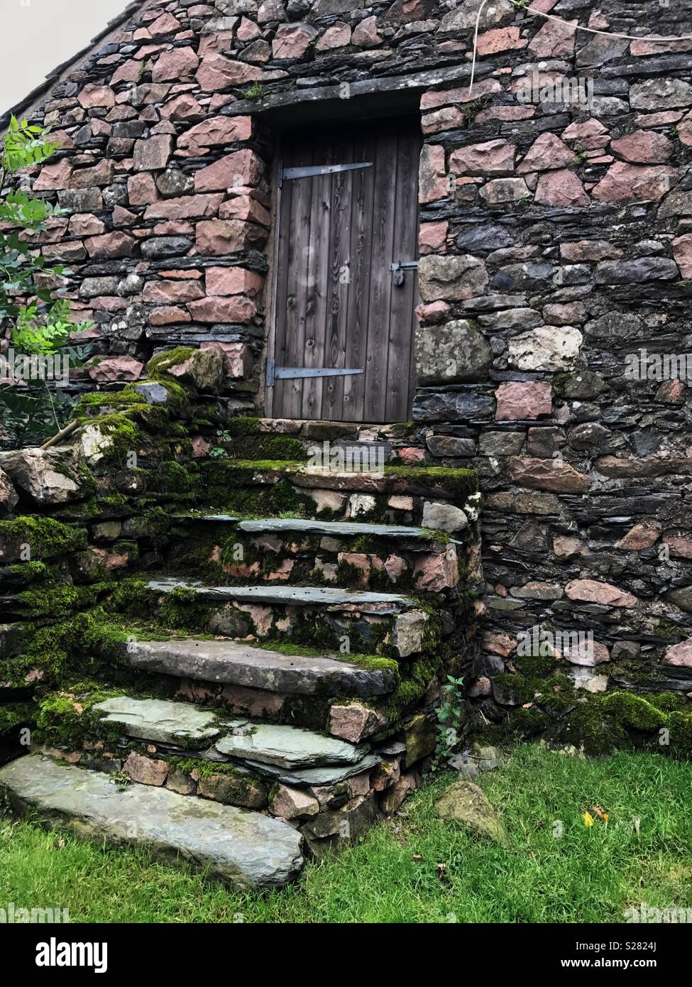 Old Moss Building High Resolution Stock Photography and Images - Alamy