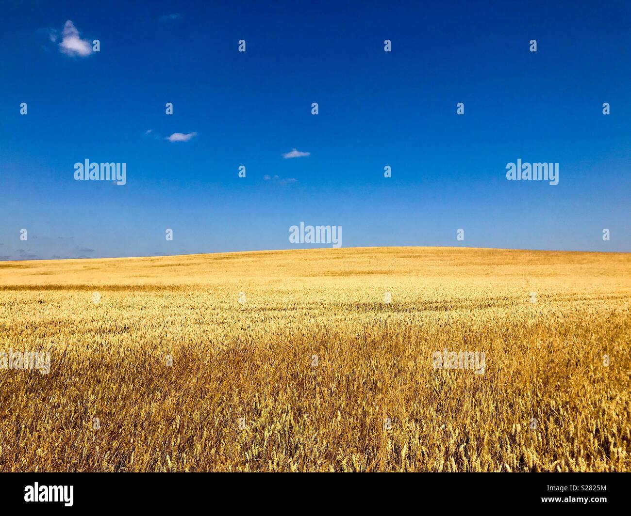 Nottinghamshire Countryside High Resolution Stock Photography and ...