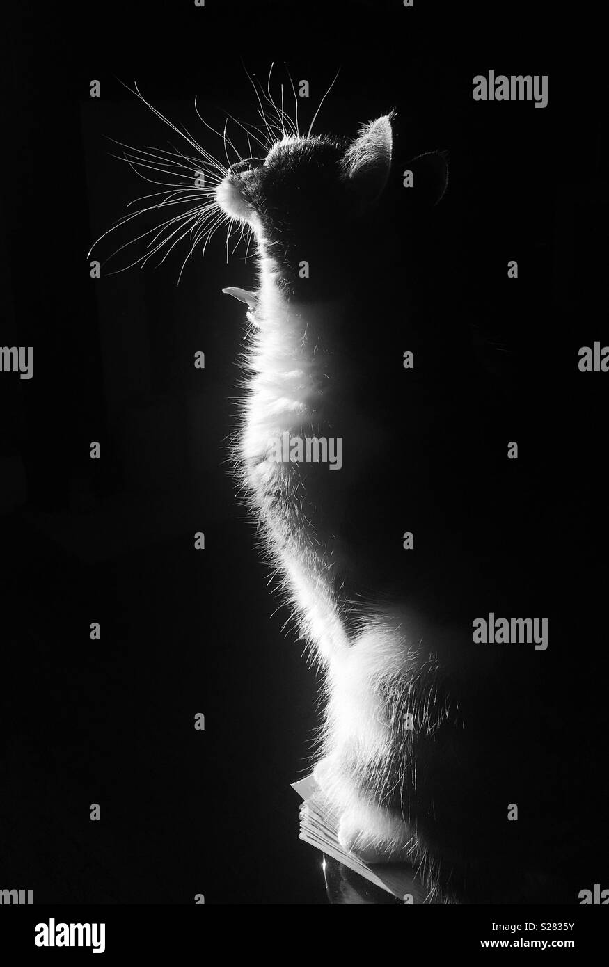 Tiring hi-res stock photography and images - Alamy