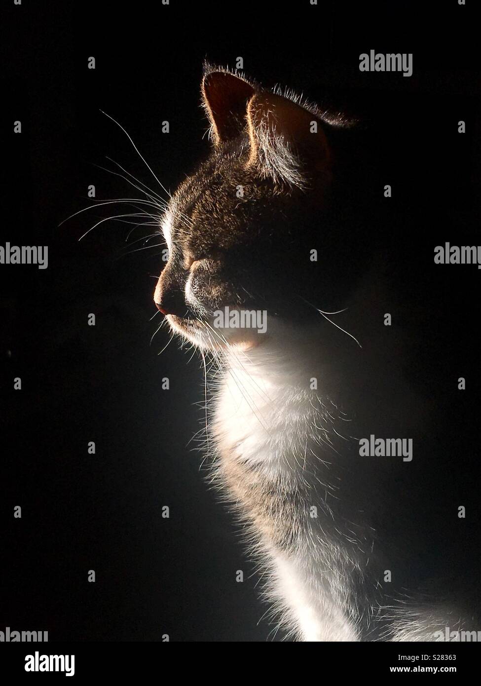 Time to rest Stock Photo - Alamy