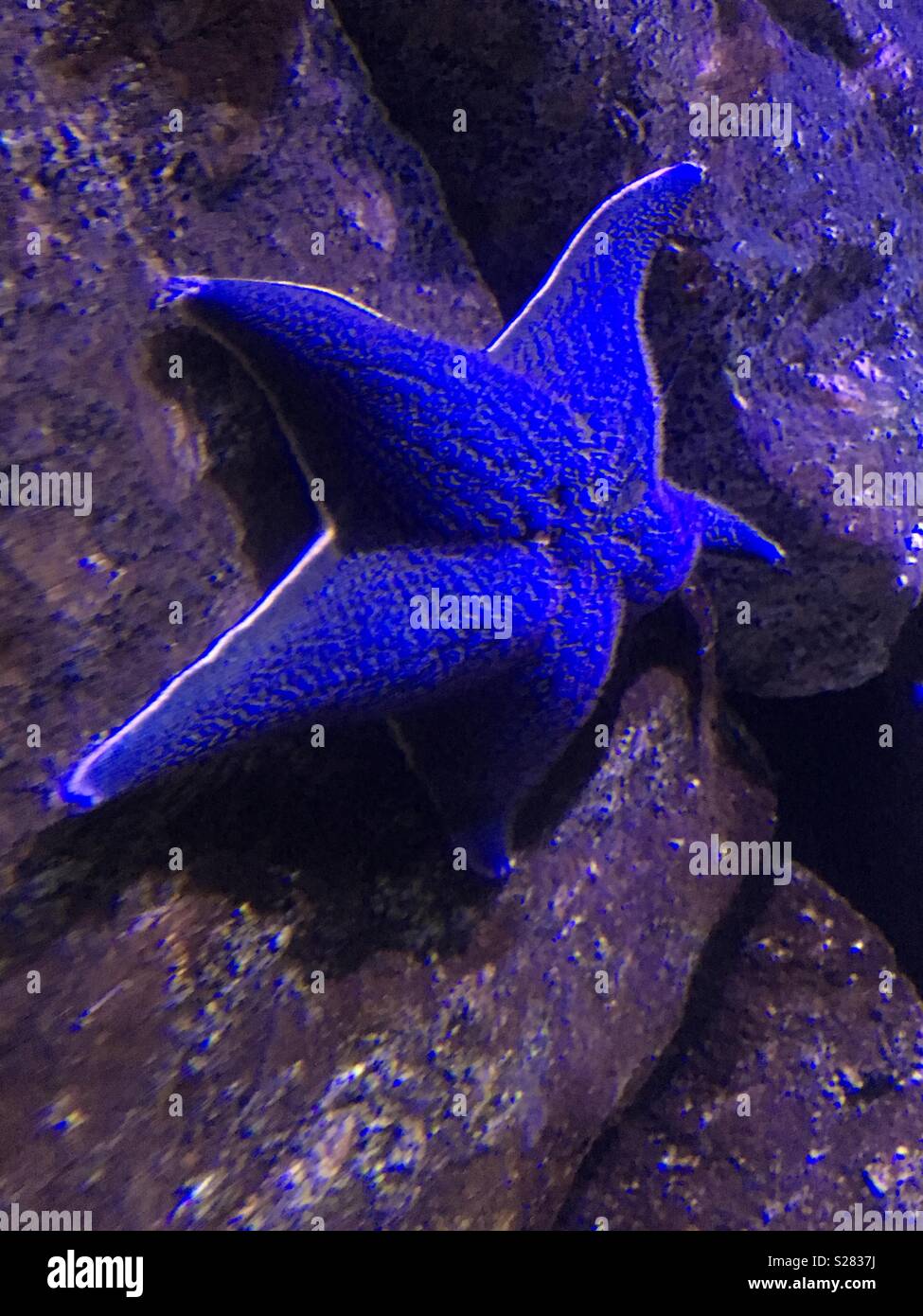 Vibrant seawater hi-res stock photography and images - Alamy