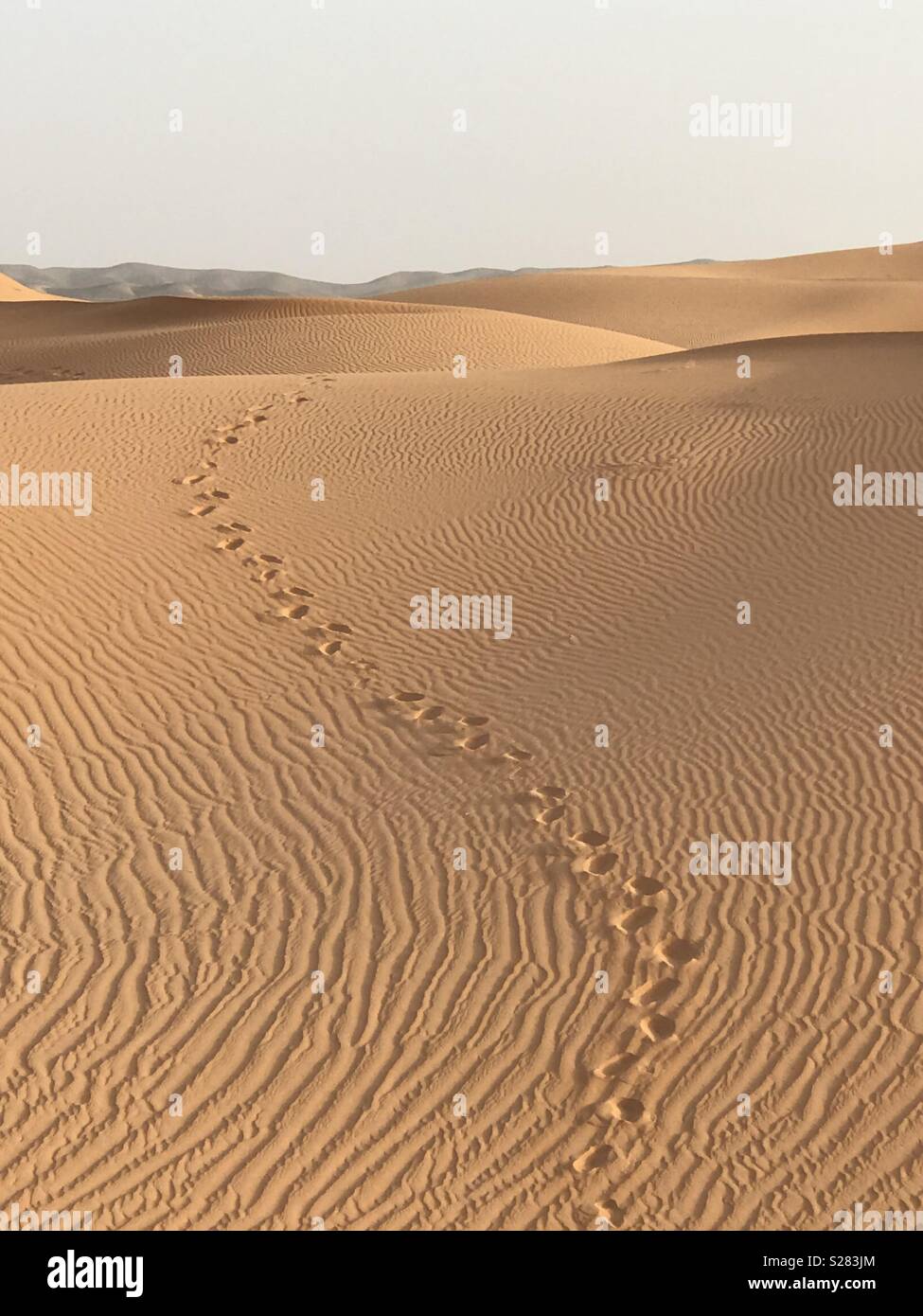 Desert footsteps hi-res stock photography and images - Alamy