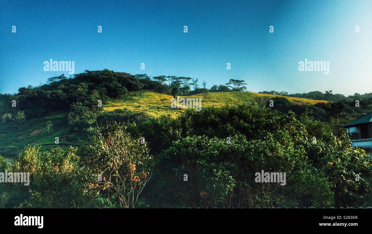 Wagamon hi-res stock photography and images - Alamy