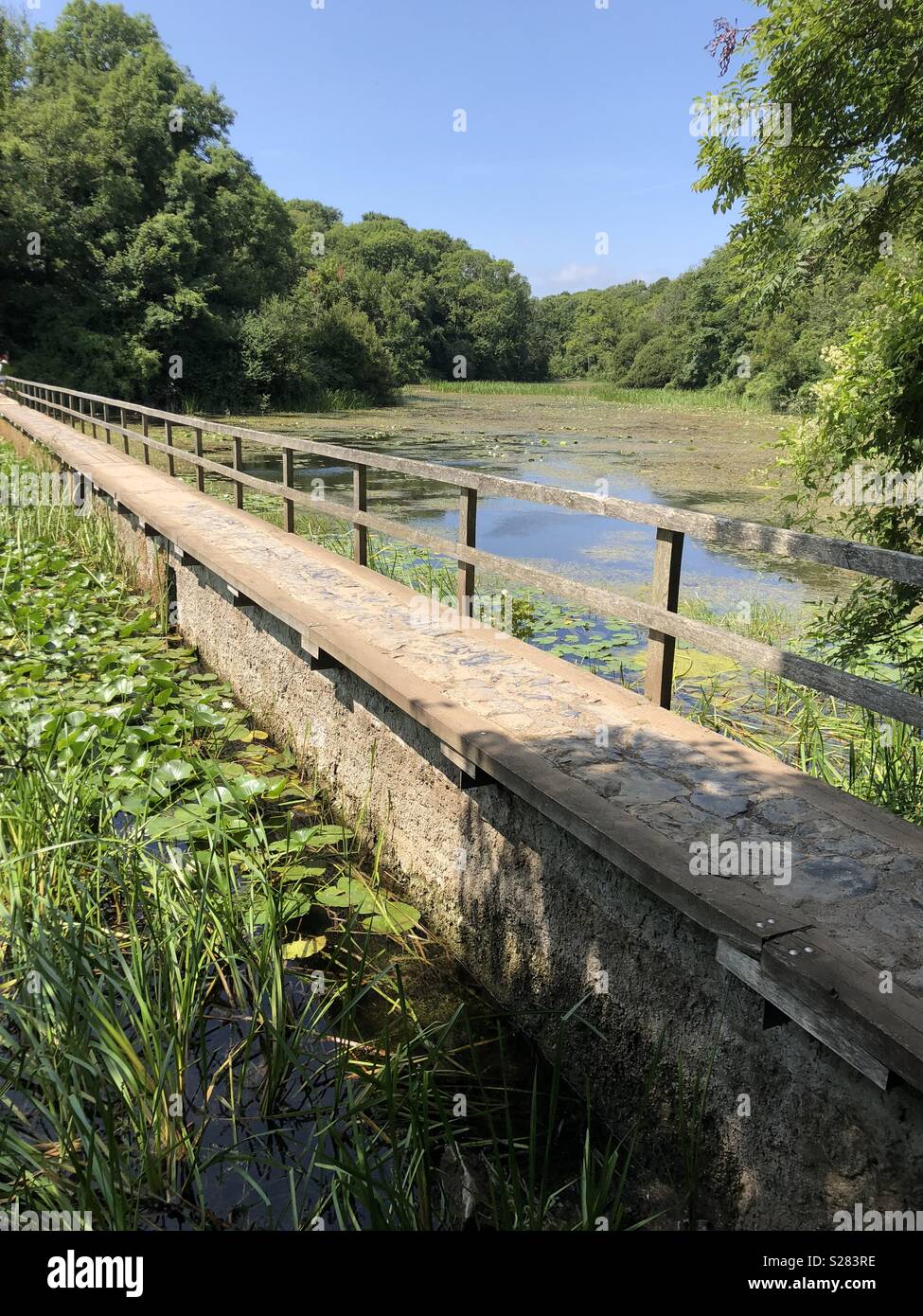 Hold tight hi-res stock photography and images - Alamy