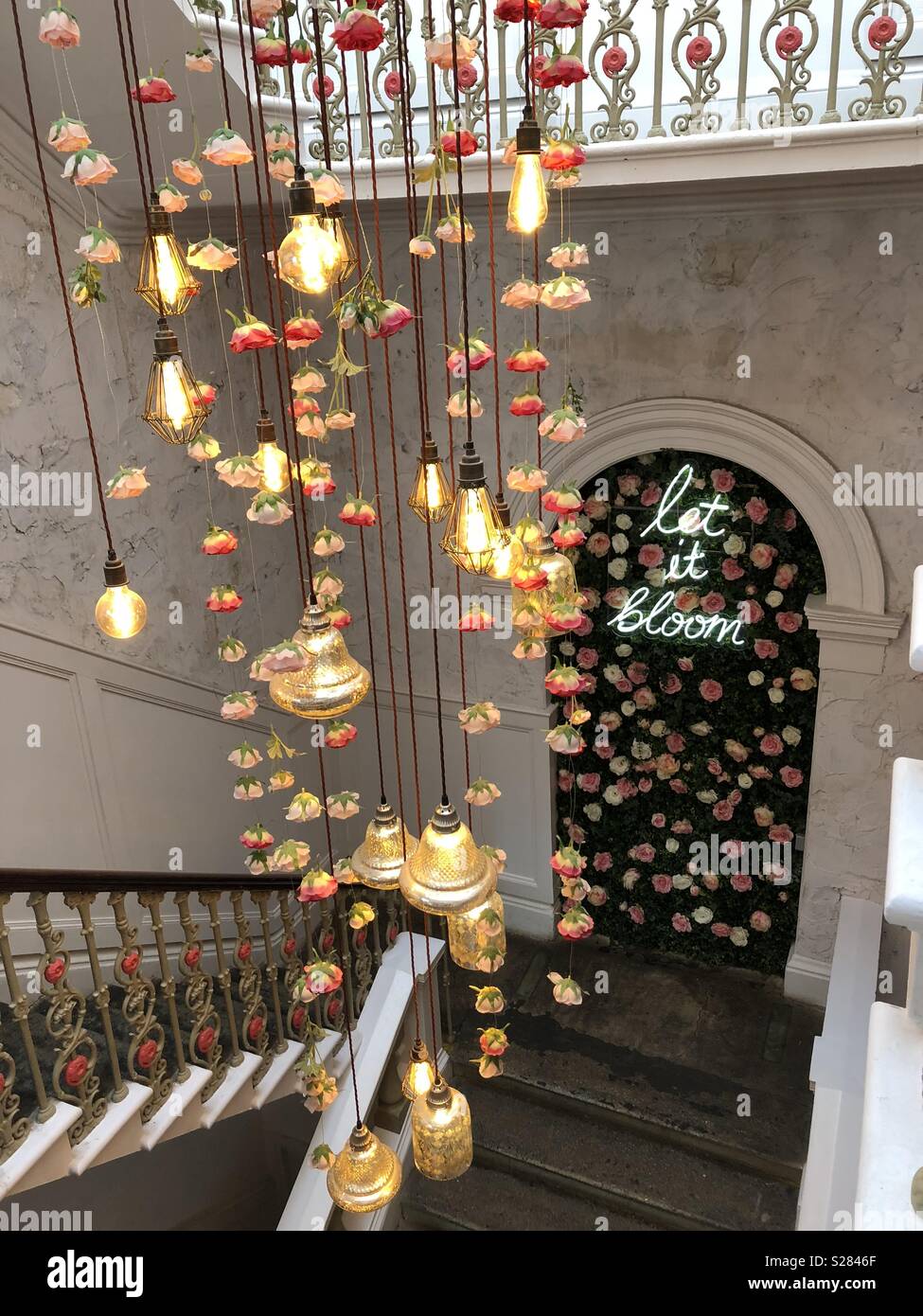 Let it bloom Stock Photo - Alamy