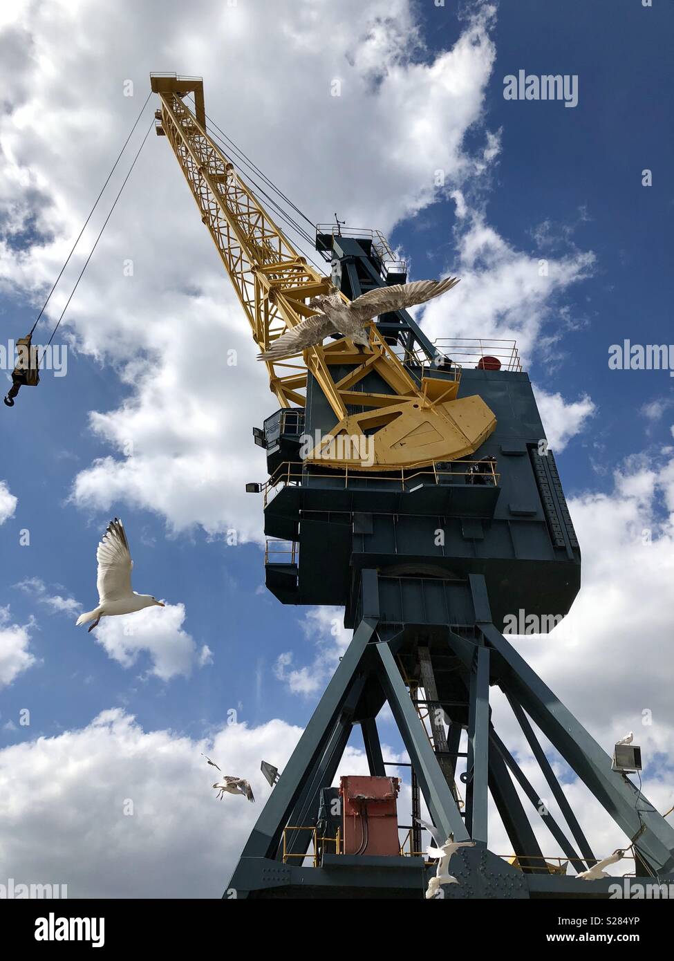 Dockyard Crane Stock Photos & Dockyard Crane Stock Images - Alamy