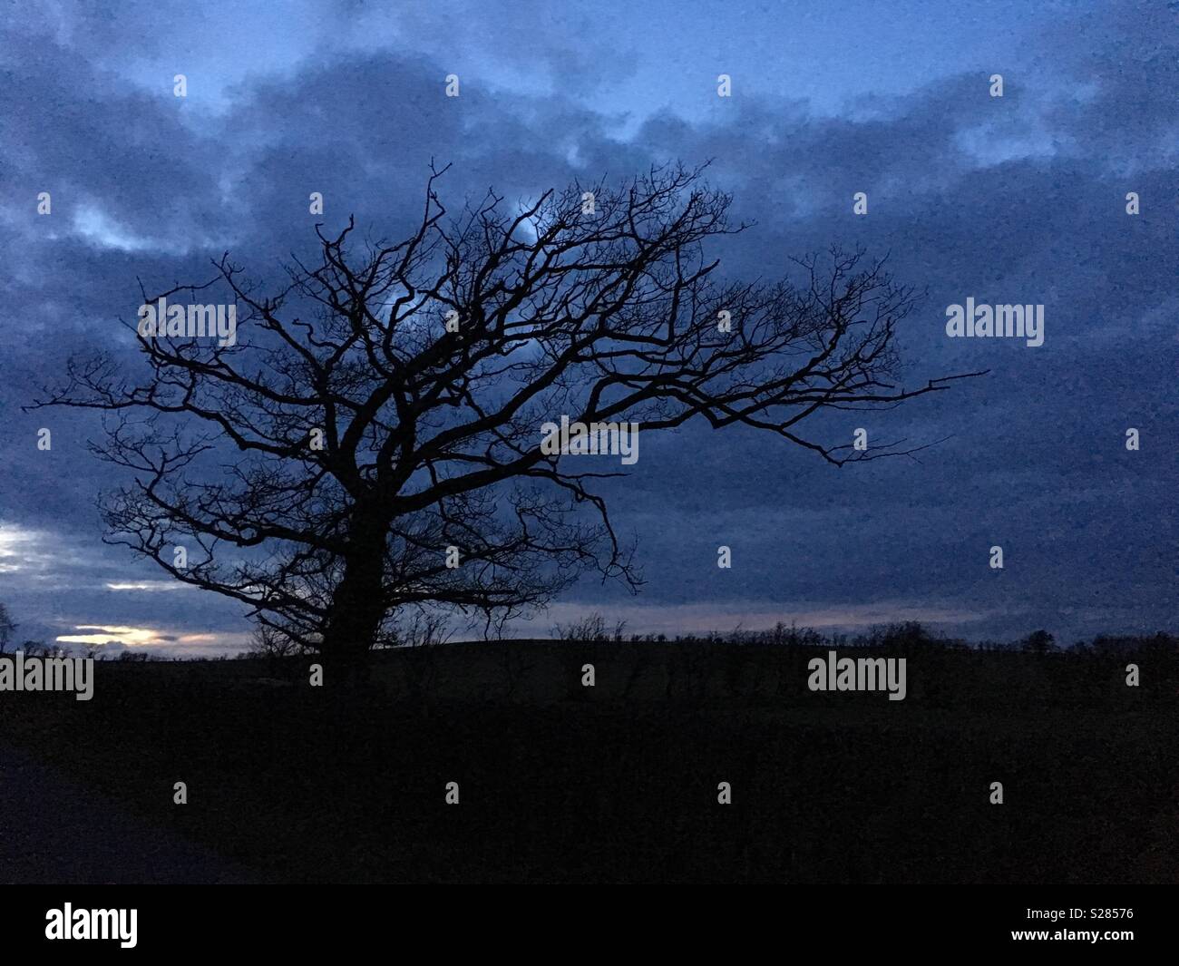 Wizened High Resolution Stock Photography and Images - Alamy