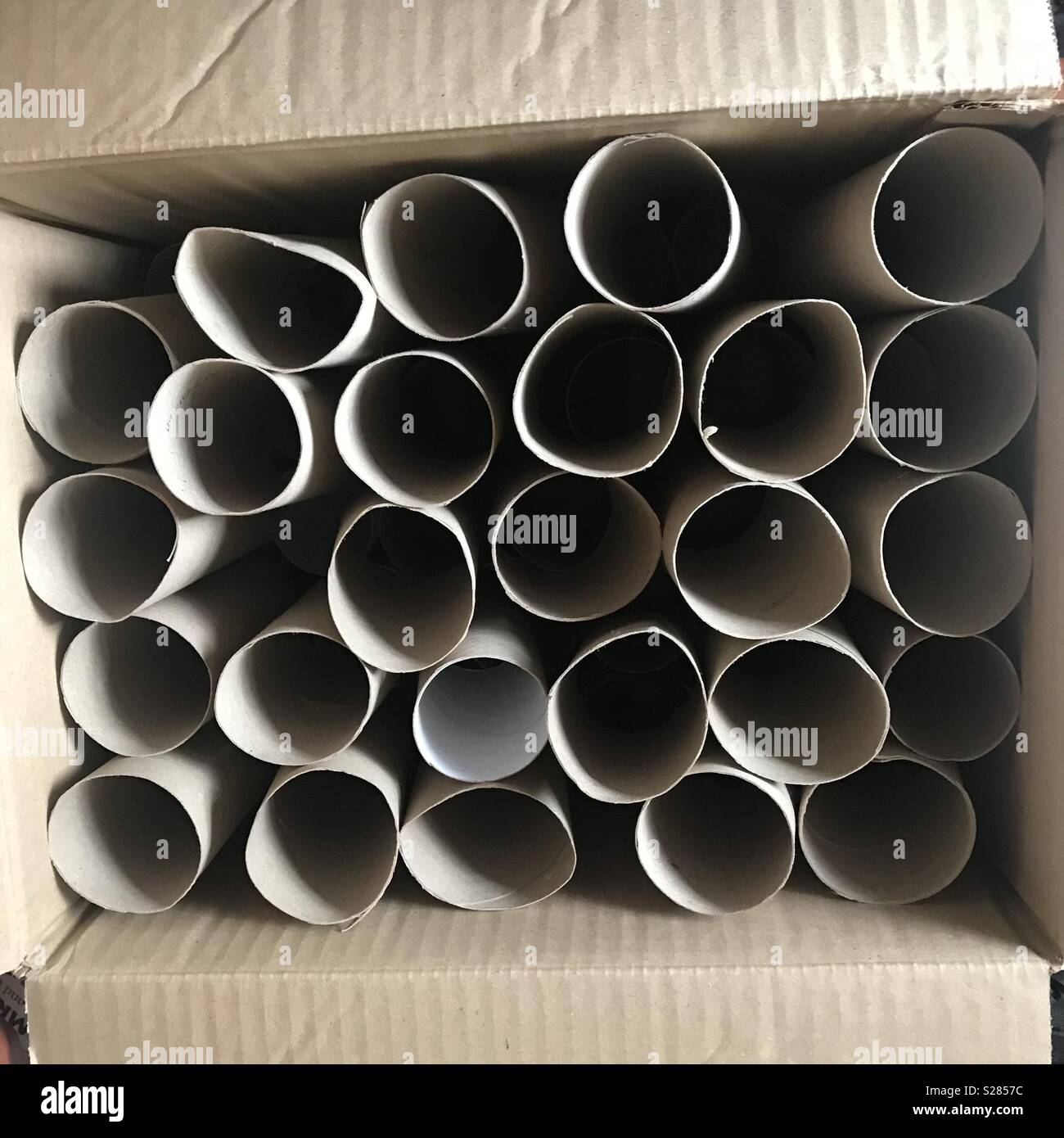 Toilet roll crafts High Resolution Stock Photography and Images - Alamy