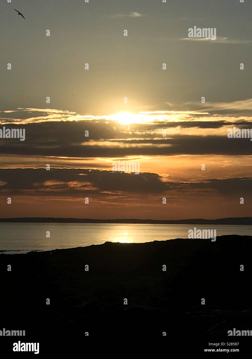 Rest bay south wales hi-res stock photography and images - Alamy