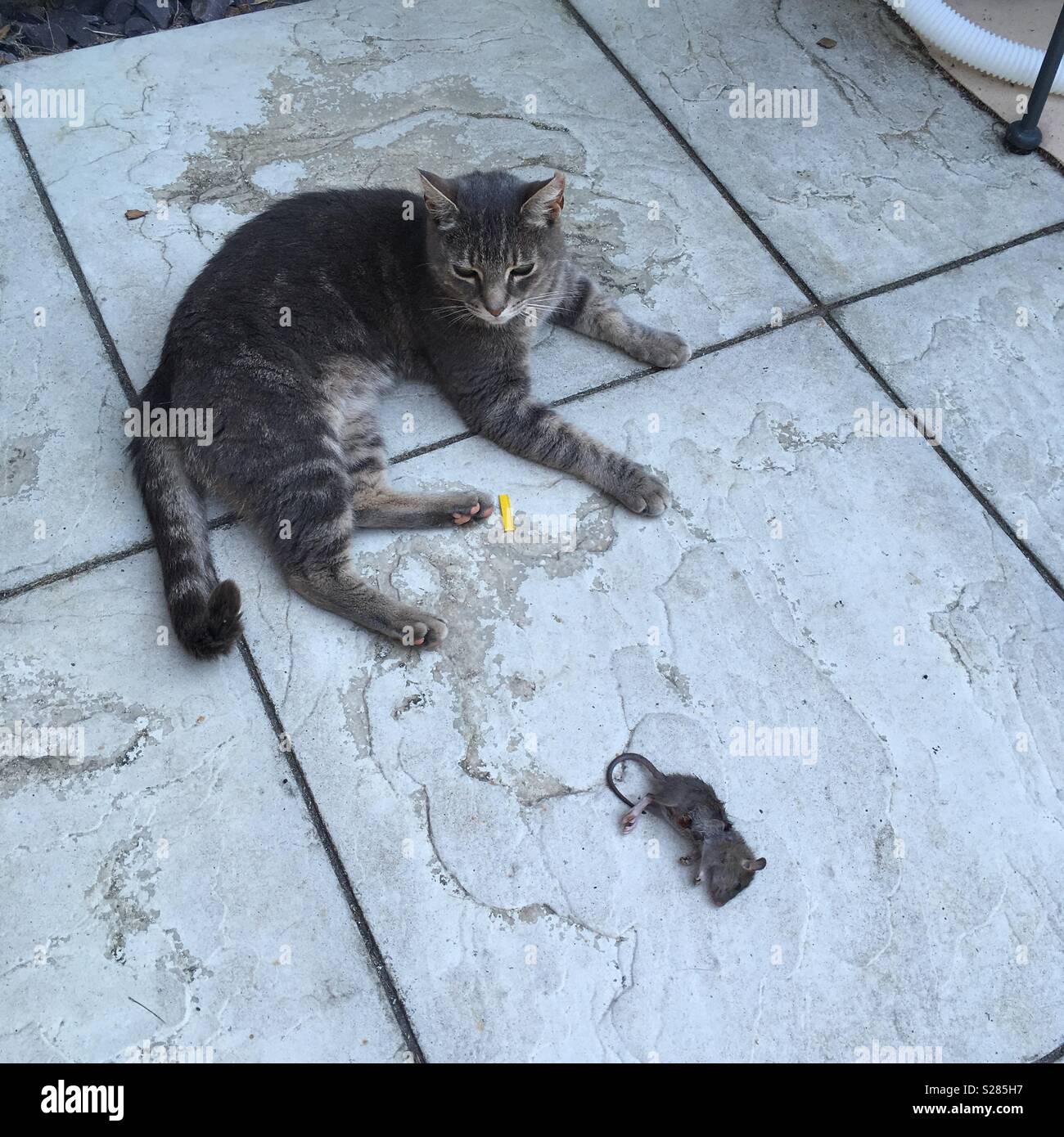 Gift hunter hi-res stock photography and images - Alamy