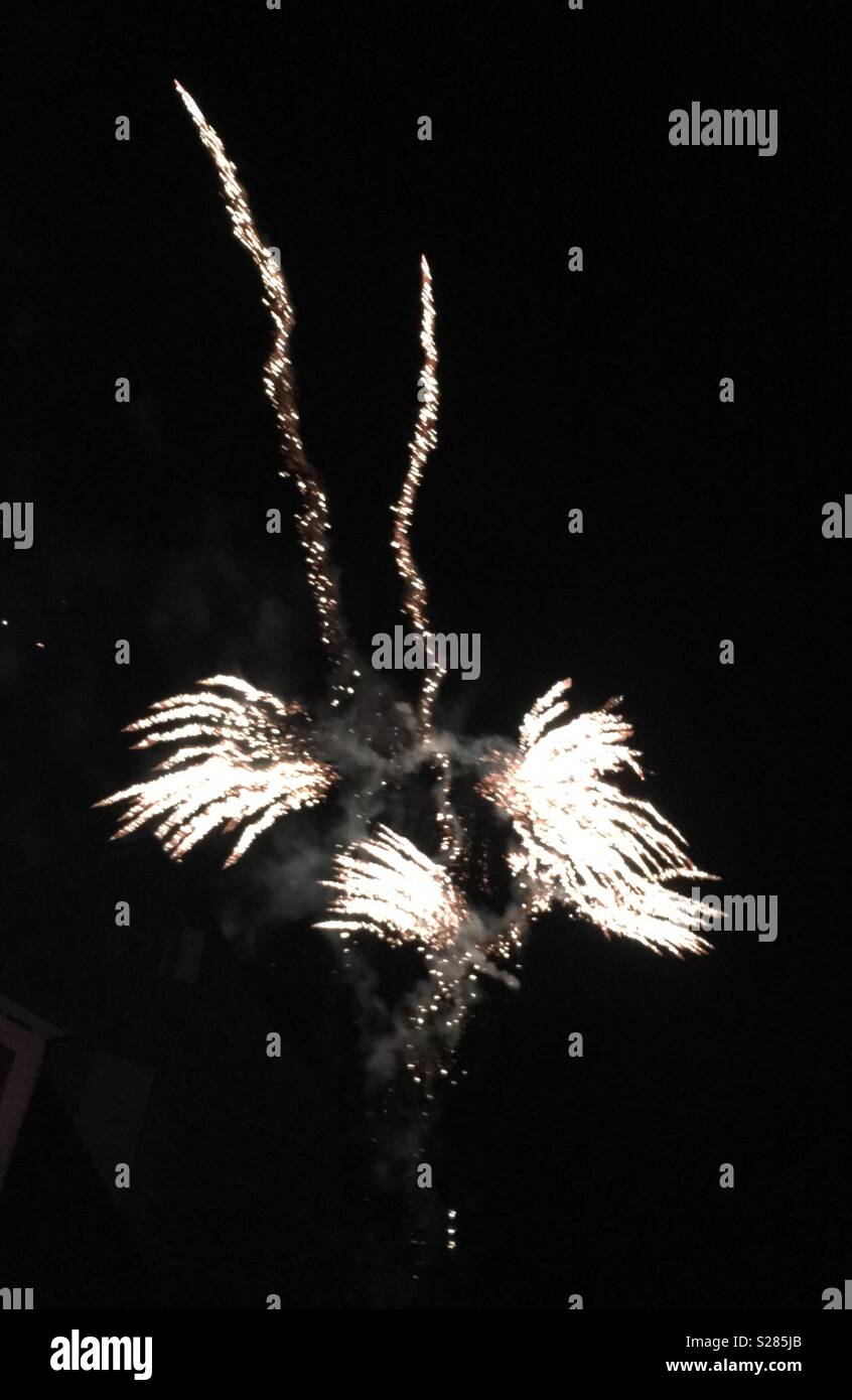 White fireworks hi-res stock photography and images - Alamy