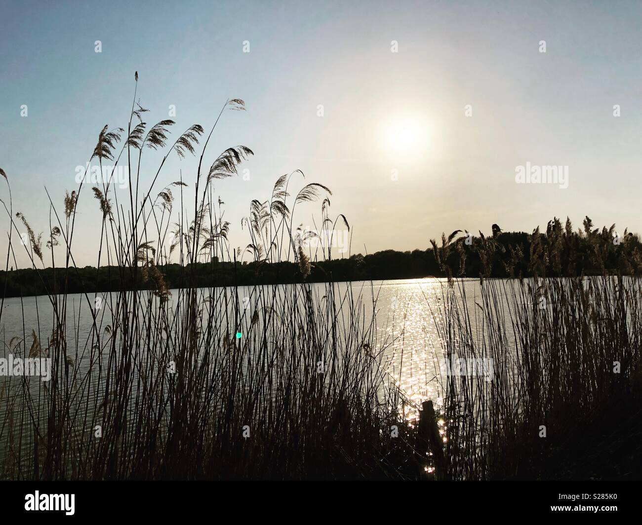 Low sun over water Stock Photo - Alamy