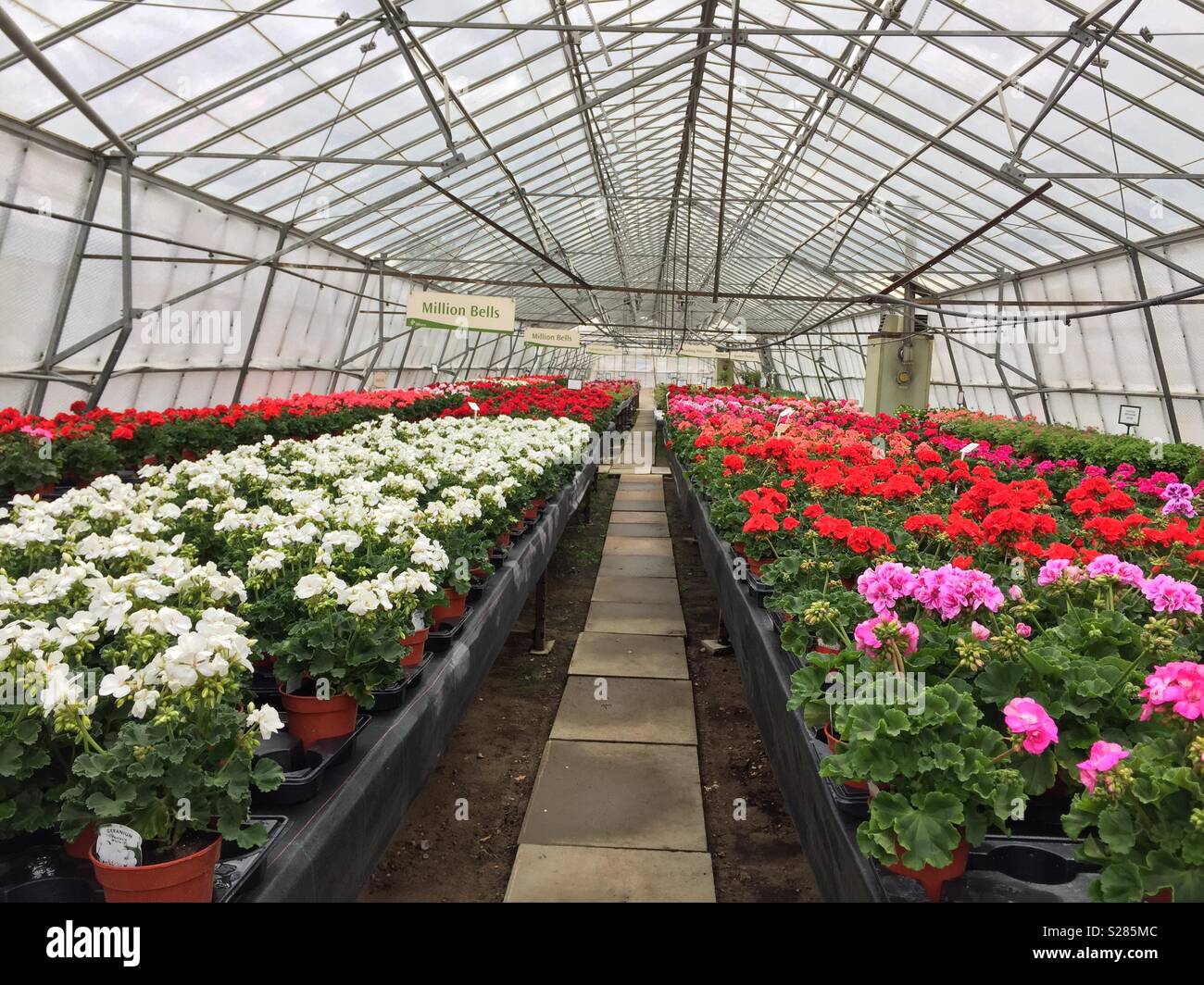 Garden centre and nursery hi-res stock photography and images - Alamy
