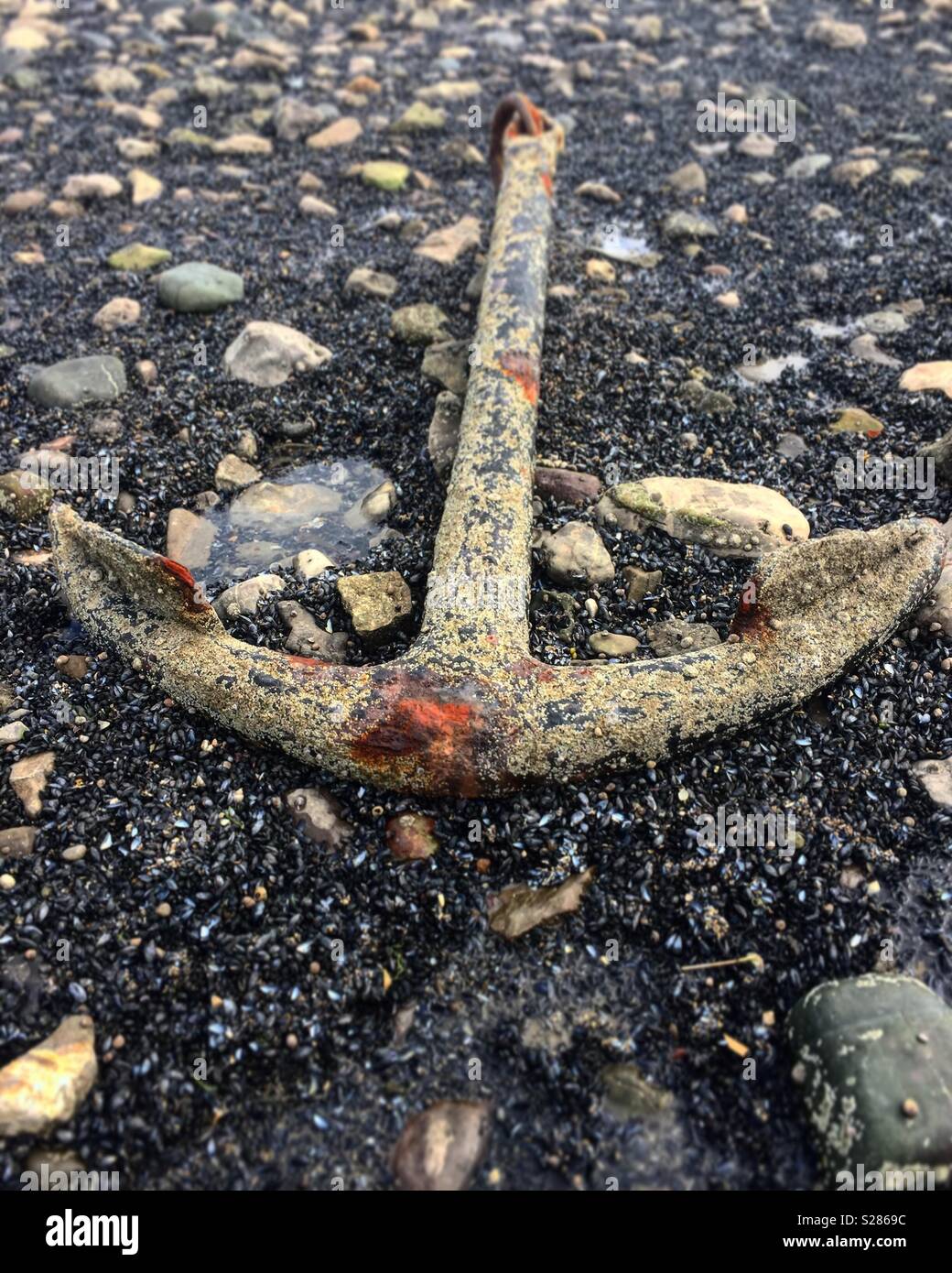 Anchor rusty hi-res stock photography and images - Alamy