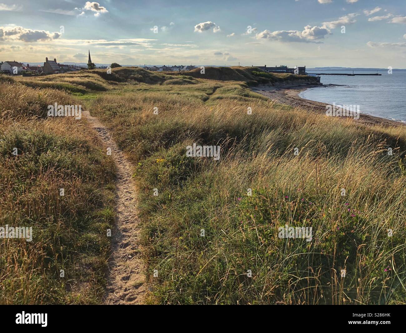 Amble Coastal Path at Darcy Ryan blog