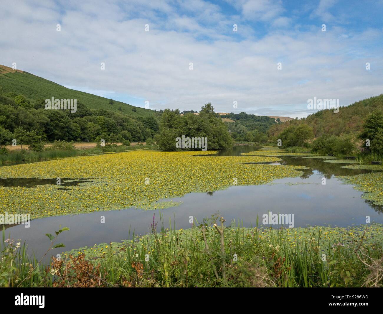 Cwm parc hi-res stock photography and images - Alamy