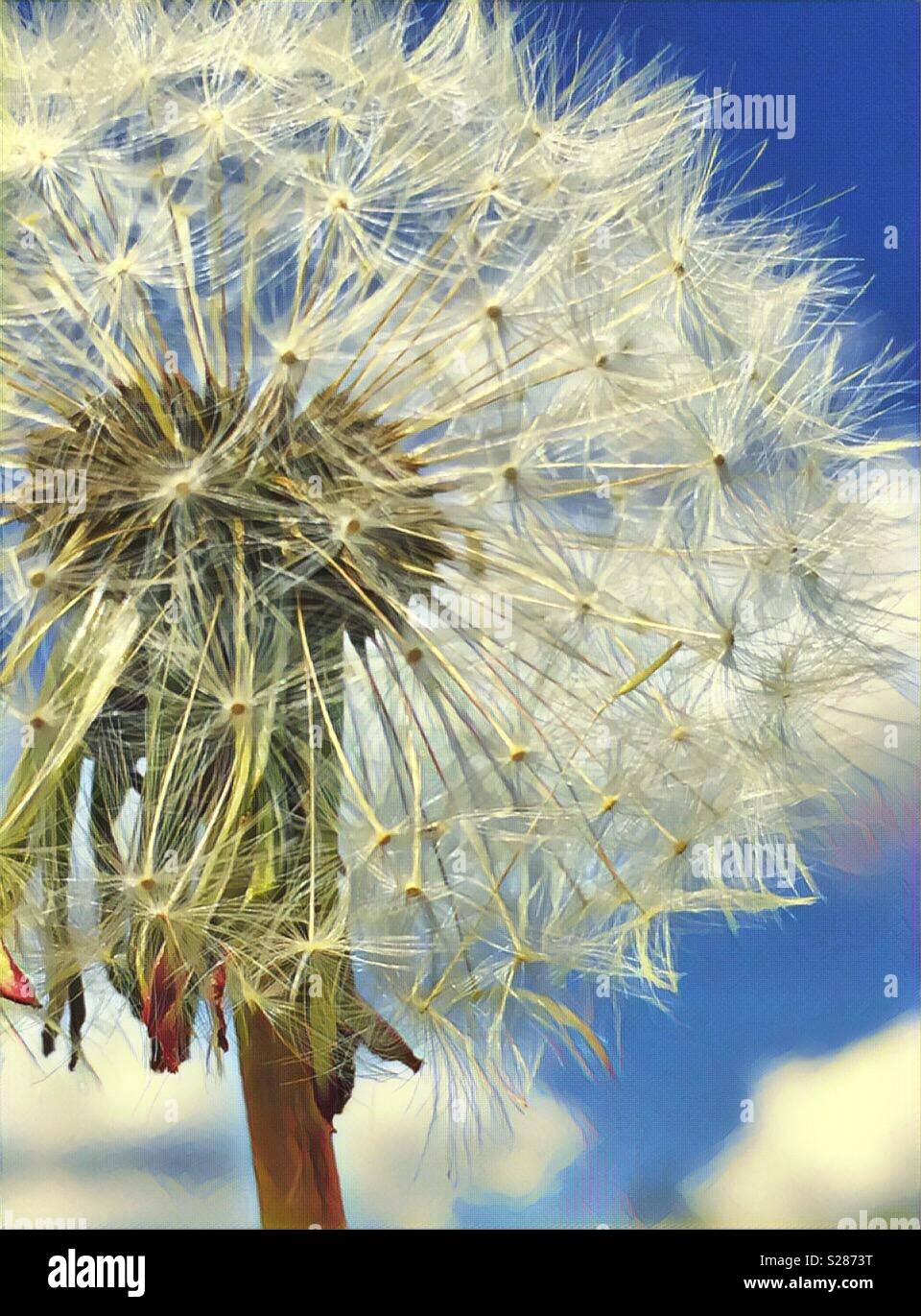 Wish clock hi-res stock photography and images - Alamy