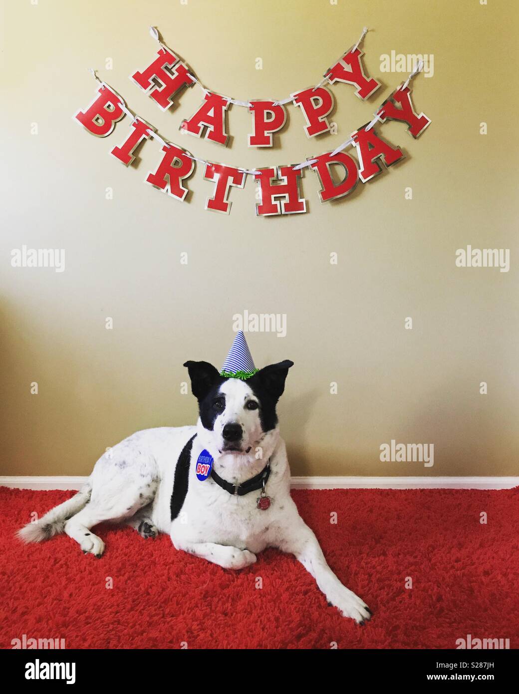 Birthday boy hi-res stock photography and images - Alamy