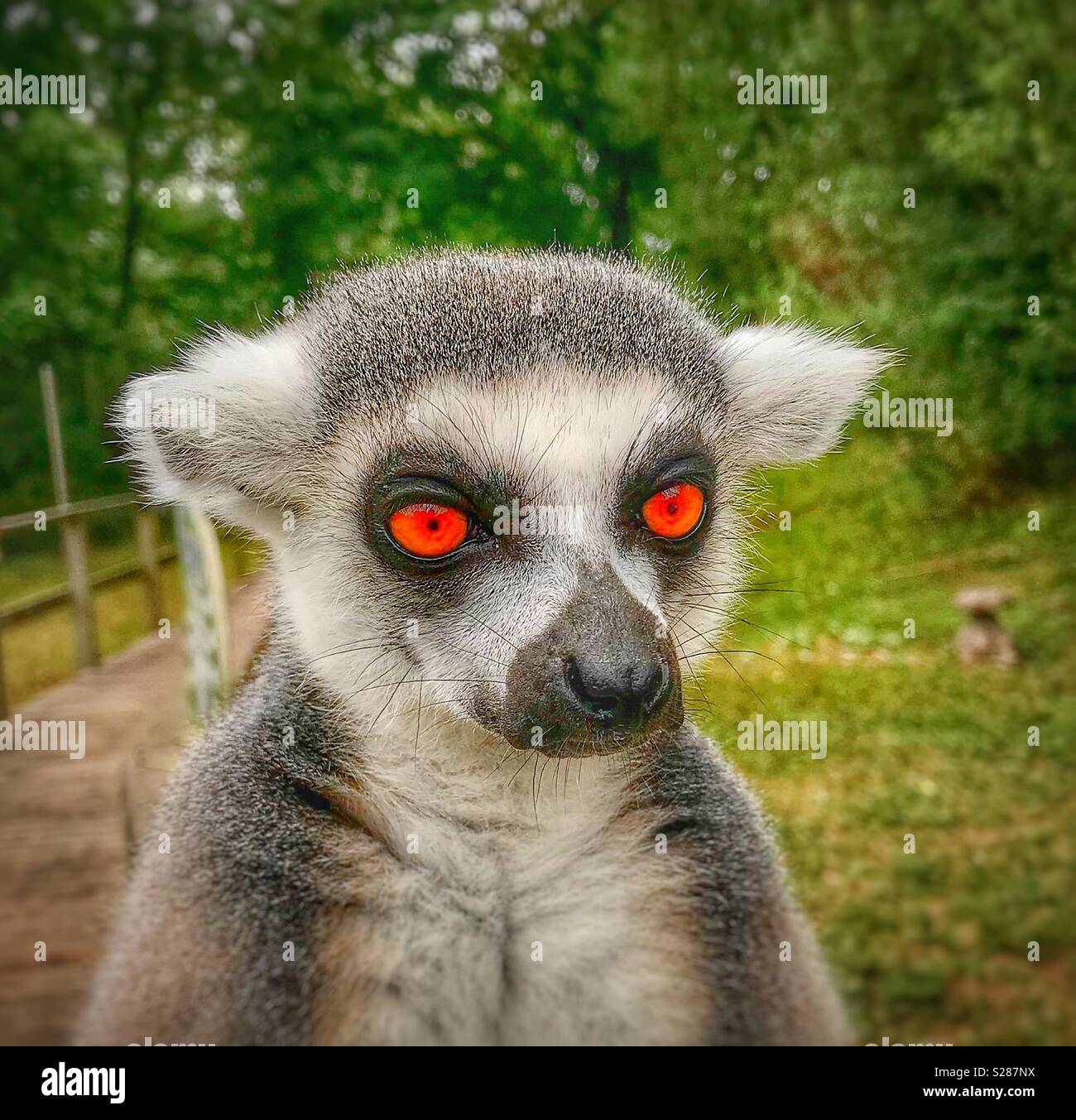 Lemar High Resolution Stock Photography and Images - Alamy