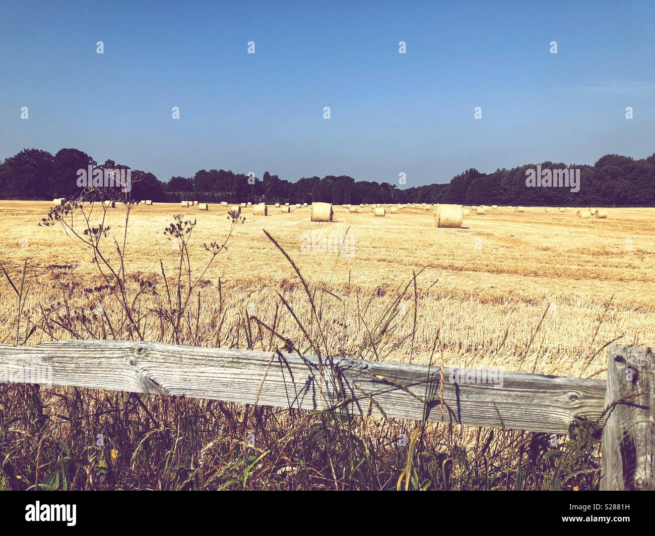 Summer hay hi-res stock photography and images - Alamy