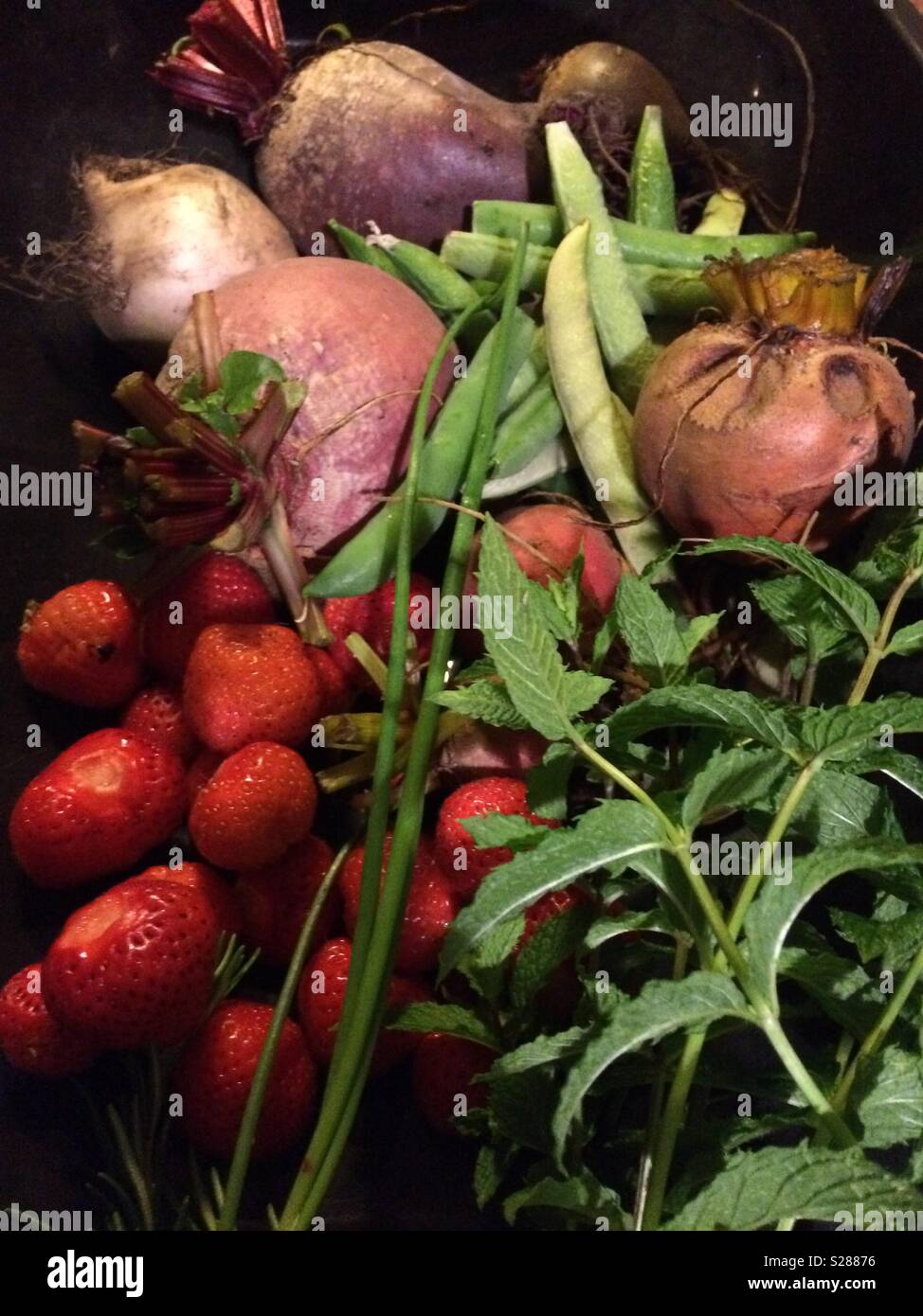 Vegetable Patch Harvest Stock Photo - Alamy