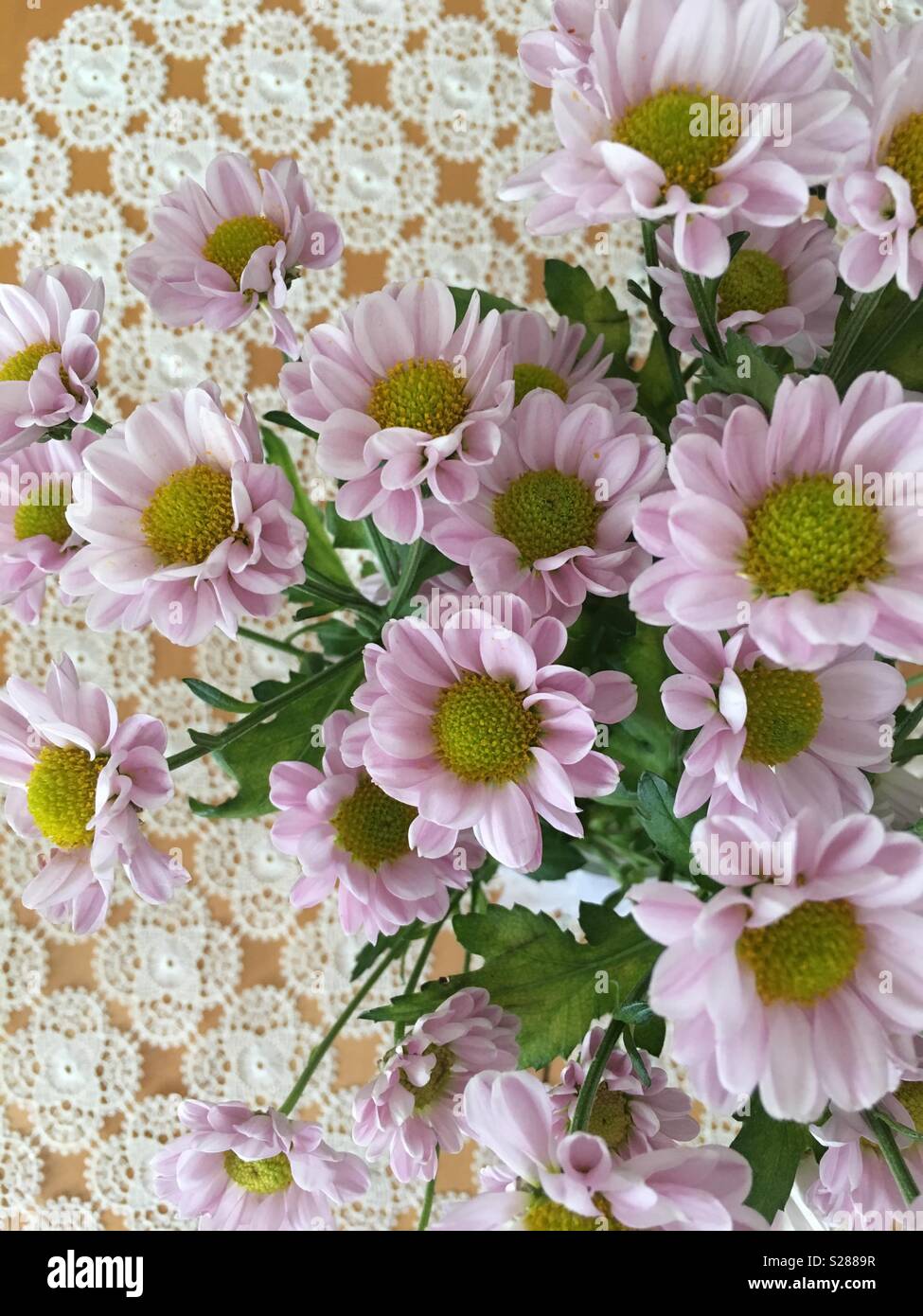 Summer lila hi-res stock photography and images - Alamy