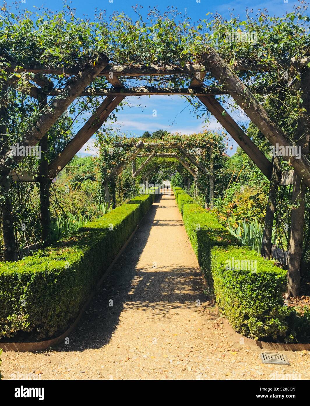 Hedge arches hi-res stock photography and images - Alamy