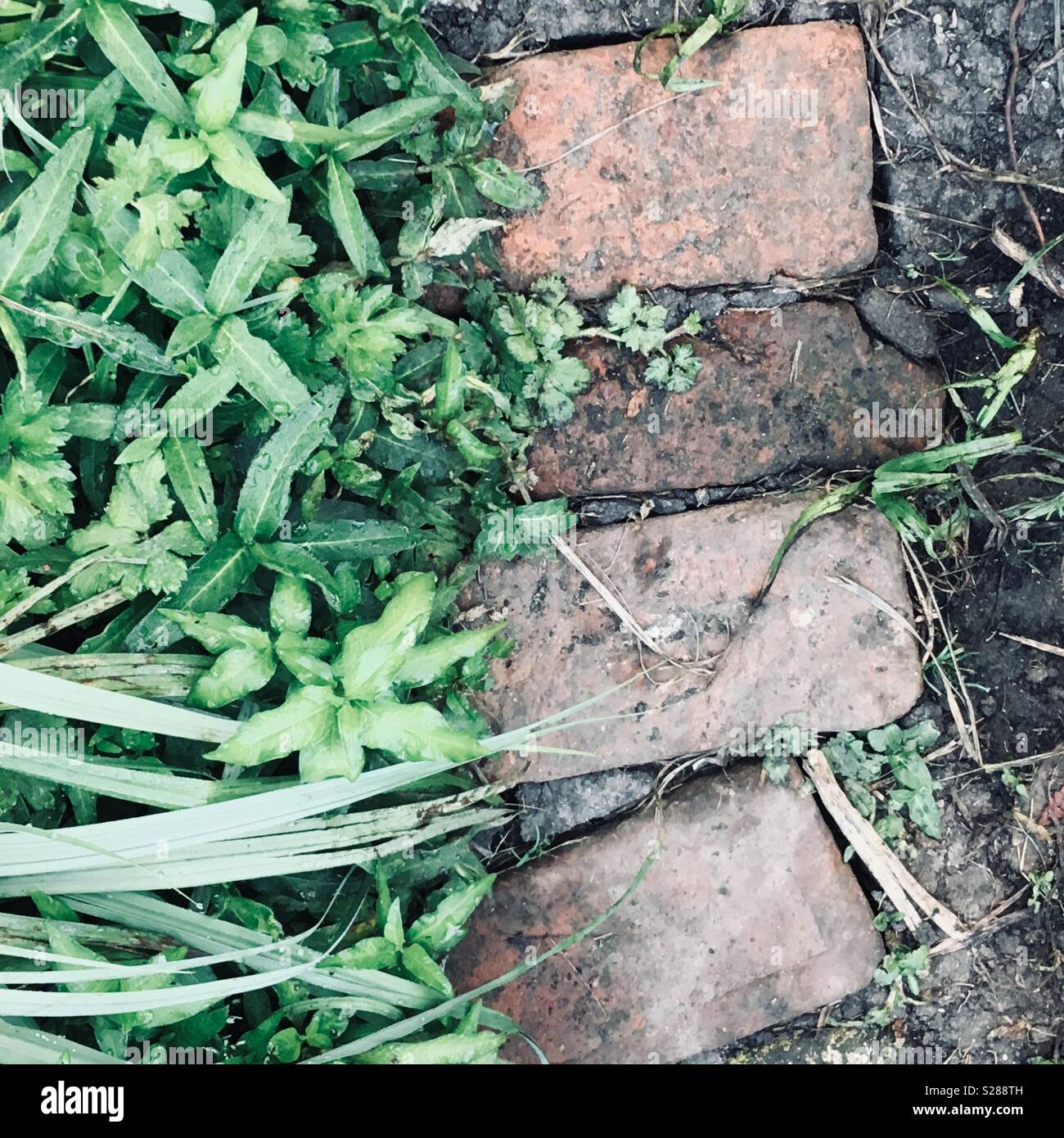 Red clay bricks hi-res stock photography and images - Alamy