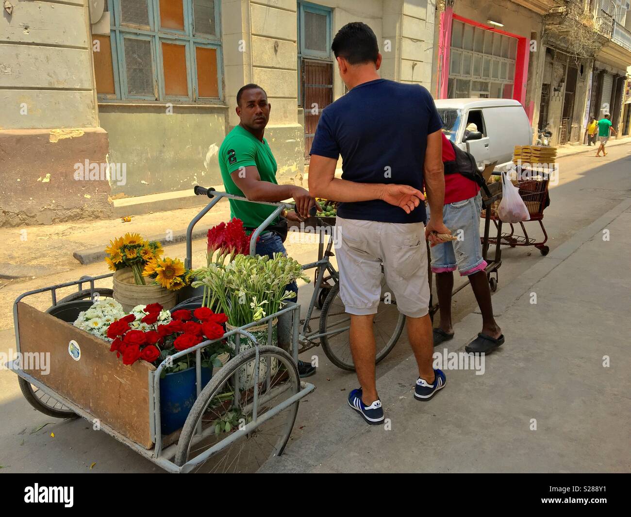 Man selling fresh flowers on street in Havana Cuba Stock Photo - Alamy