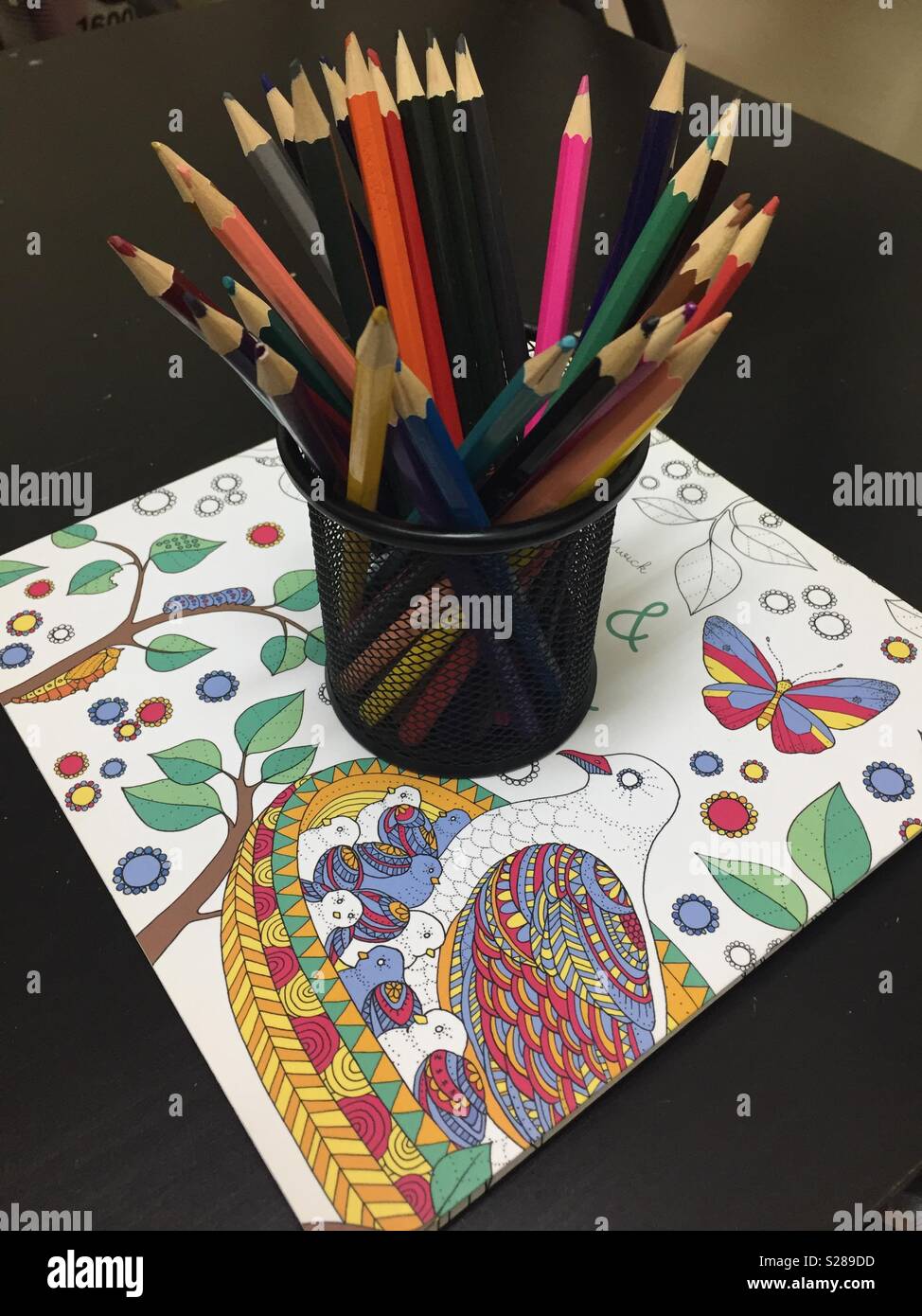 Getting ready for drawing Stock Photo - Alamy