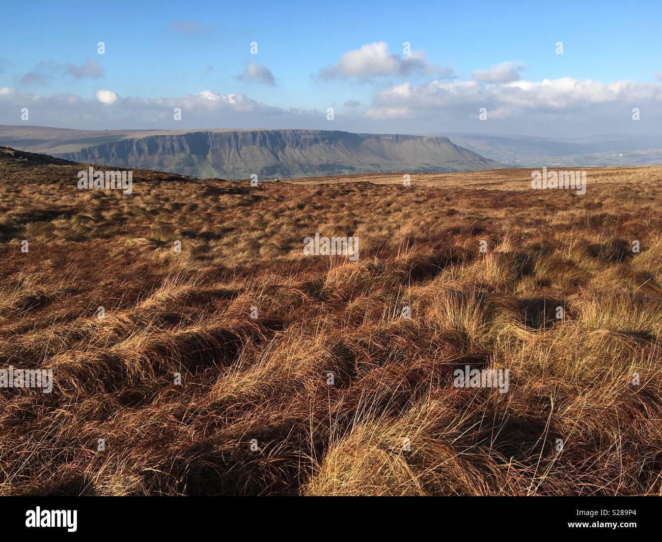 Garron hi-res stock photography and images - Alamy