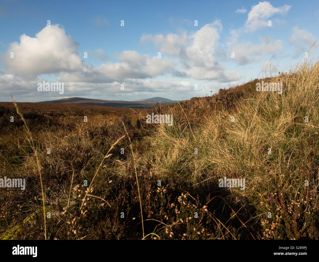 Trostan hi-res stock photography and images - Alamy