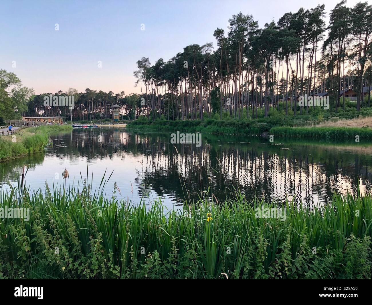 Woburn Center parcs Stock Photo - Alamy